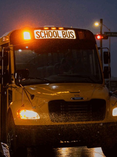 Illuminated School Bus Sign - First Light Safety Products